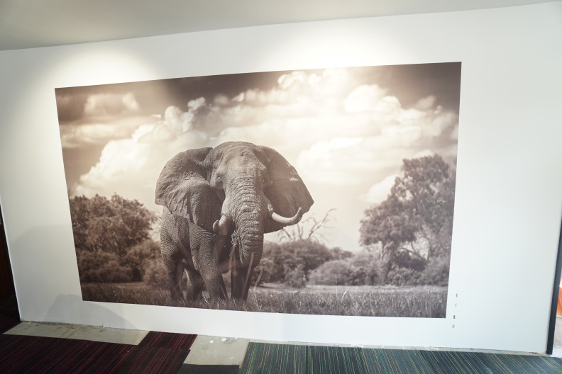 Galerie d'exemples d'impression murale - Impression murale Imprimer sur mur